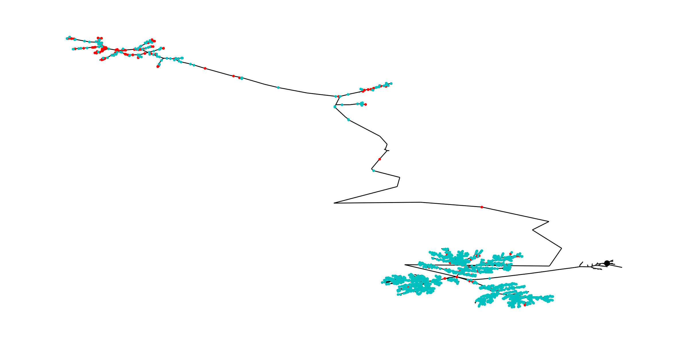 Neuron Topology - navis Neuron Topology - navis