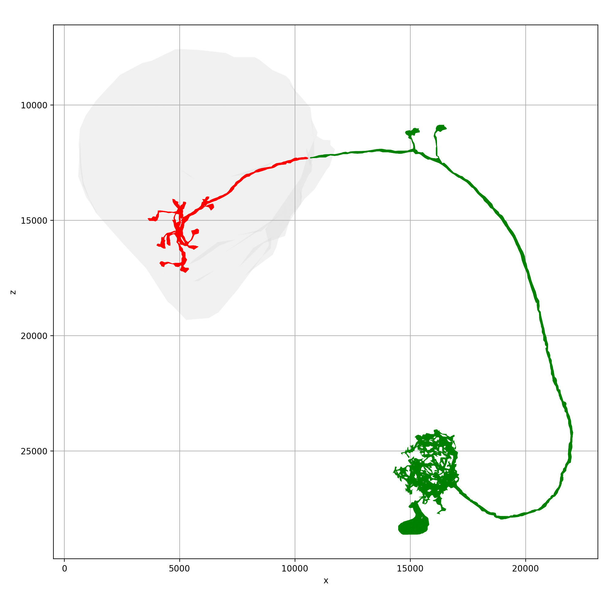 Manipulate Morphology - navis