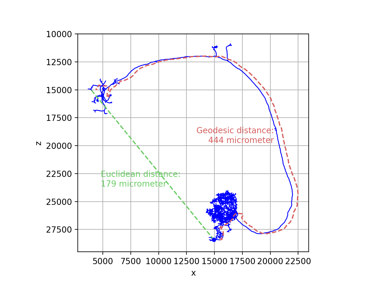 Analyzing Neuron Morphology - navis