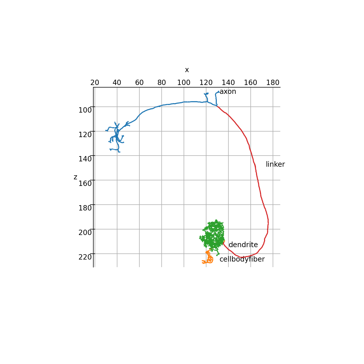 NEURON simulator - navis