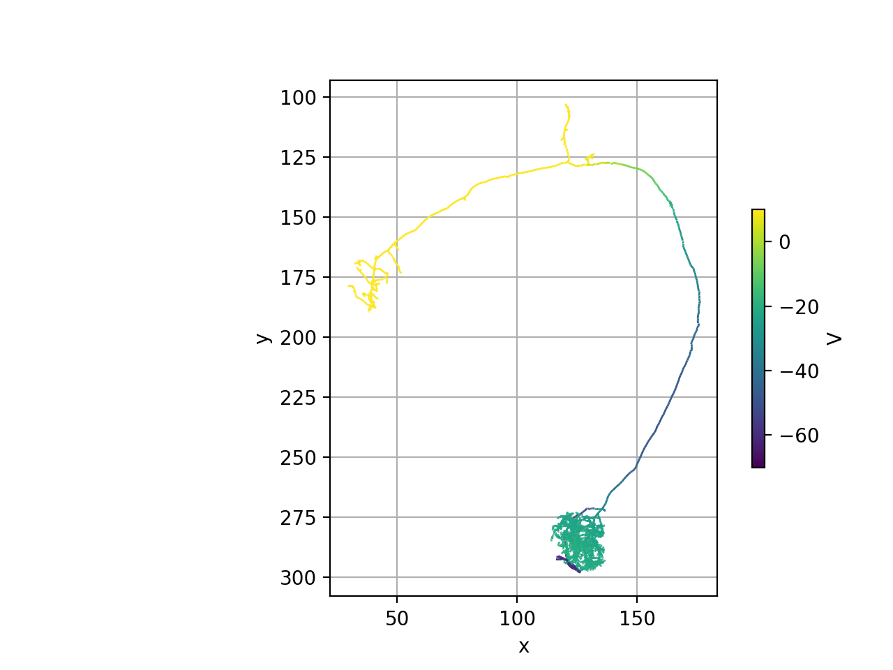 Visualize NEURON model - navis