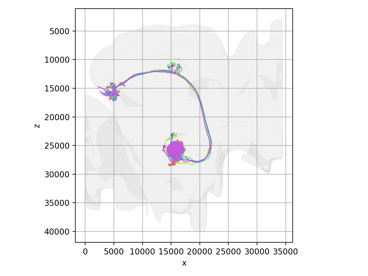 Transformations - navis